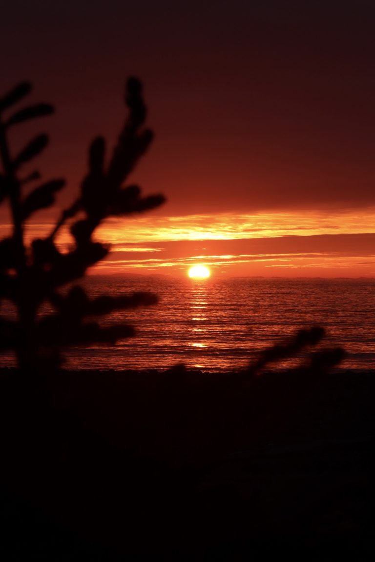 Deep Golden Orange, Rippled Placentia Bay Ocean Sunset – Lux Umbraque ...